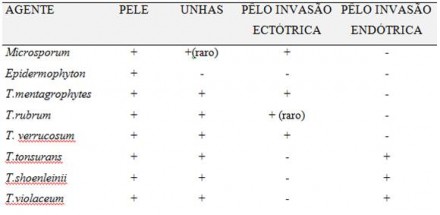 Micoses Superficiais e Cutâneas - Fungos, Causas e Tratamentos